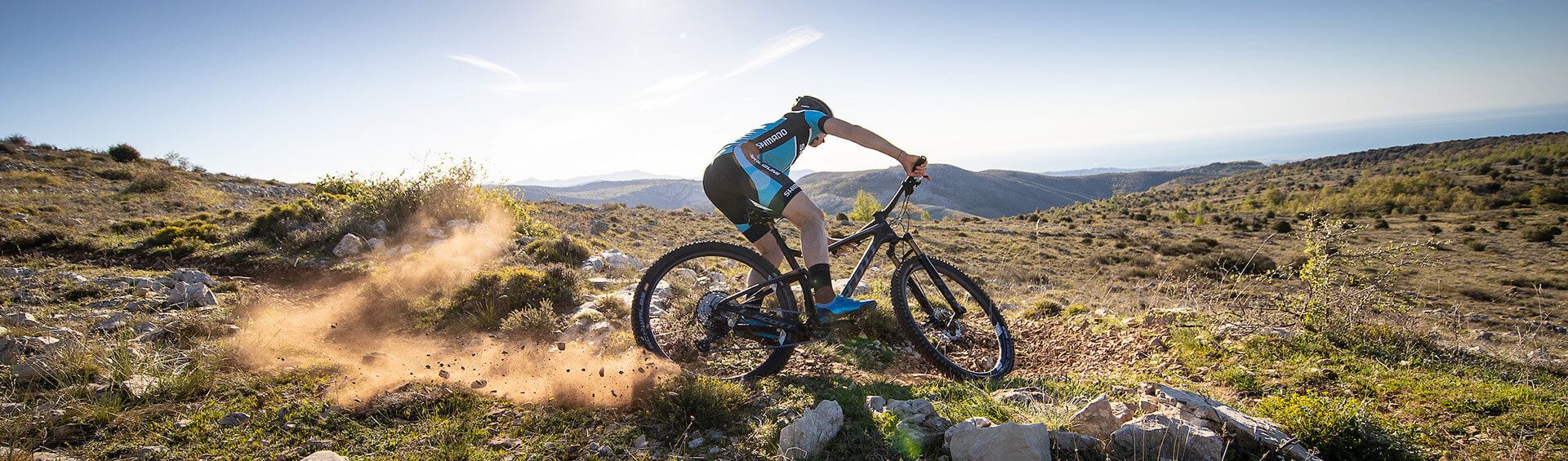 Fahrräder günstig online beim Profi kaufen